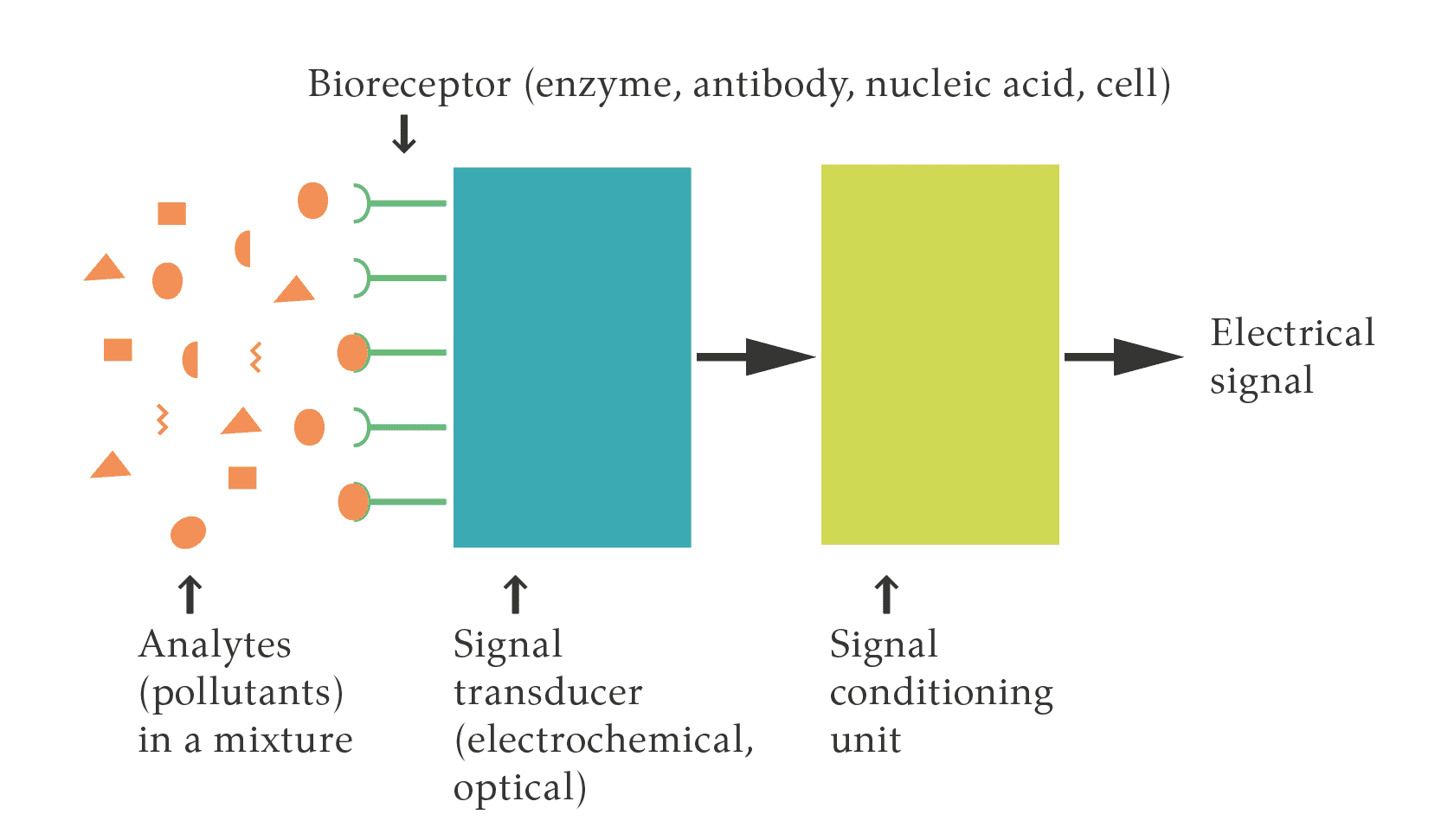 Biosensors In Environmental Monitoring Credosense
